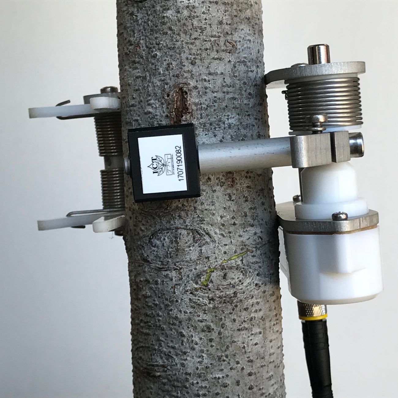 Dendrometers - ICT International